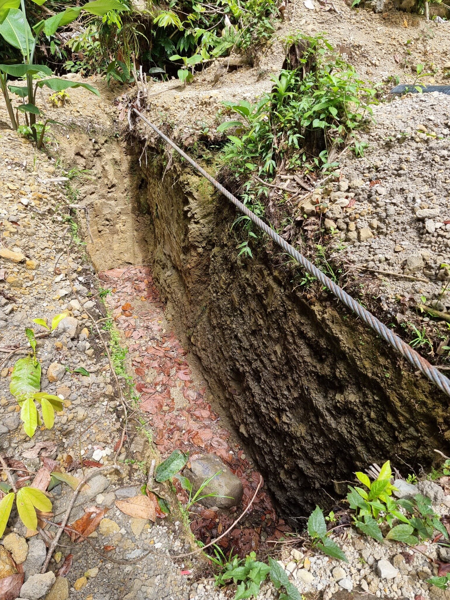 LCS – The Cable Crane Company – Monocable Ropeway, Dominica, Caribbean